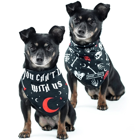Rogue + Wolf | Dog | Rogue Wolf You Cant Dig With Us Reversible Pet ...